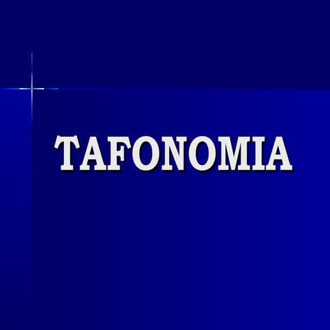 Aula 4 tafonomia | PDF
