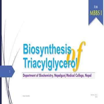 Tag biosynthesis, storage and functions | PDF
