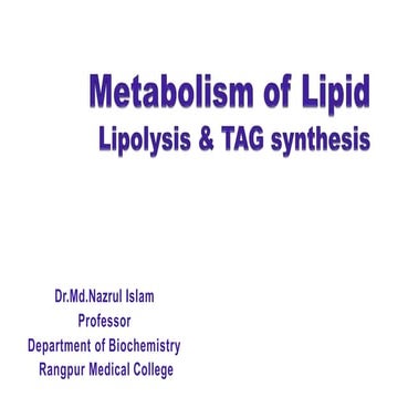 Tag biosynthesis, storage and functions | PDF