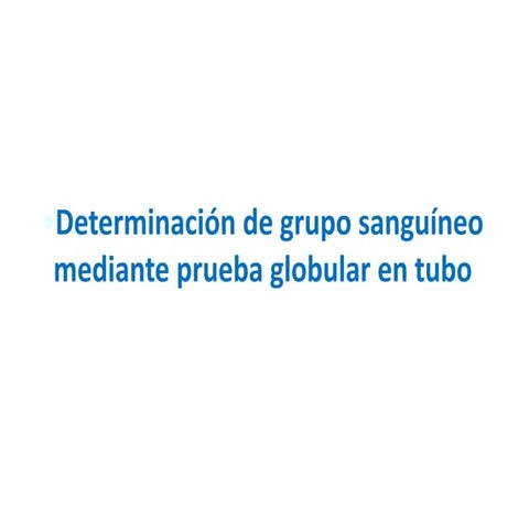 Histología de la Médula ósea | PPT