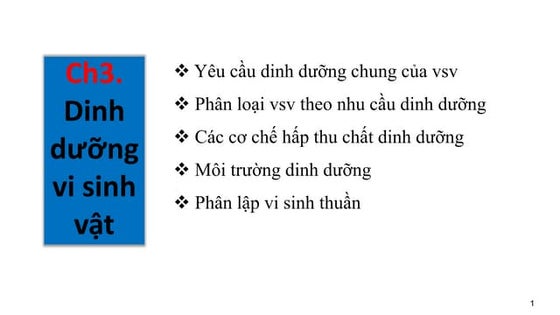 Tai bai len 4.pptx