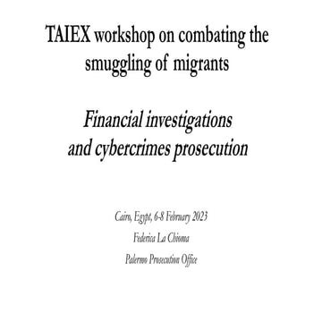 TAIEX workshop Cairo.pdf