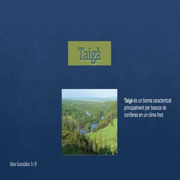 Taigà | PPTX