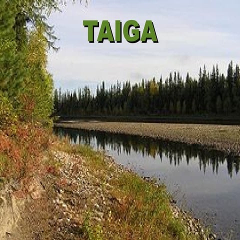Taiga | PPT
