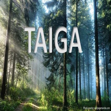 taiga.pptx