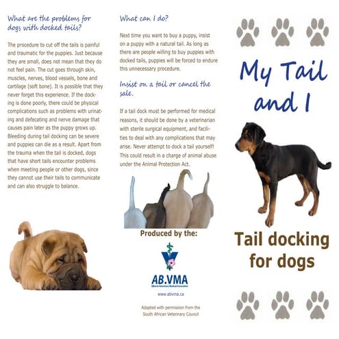 ABVMA - My Tail and I | PDF