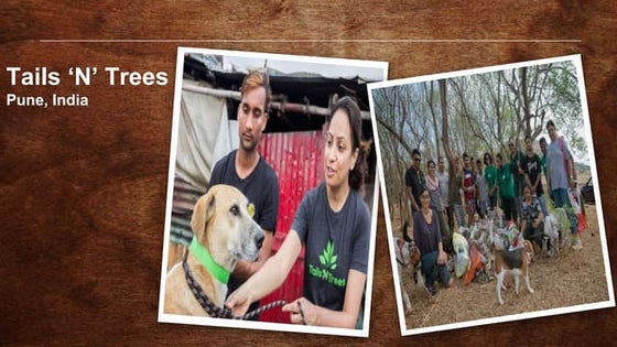 INFORMATIONAL ARTICLE.docx