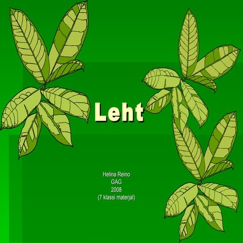 Taime Leht | PPT