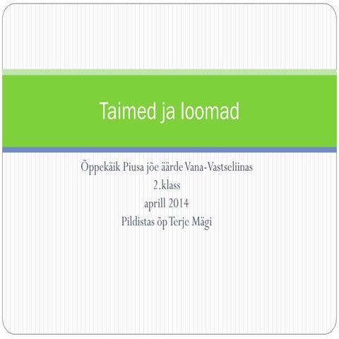 Taimed ja loomad Piusa jõe ääres | PPT