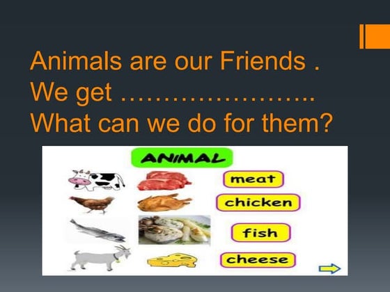 What animals need | PPTX