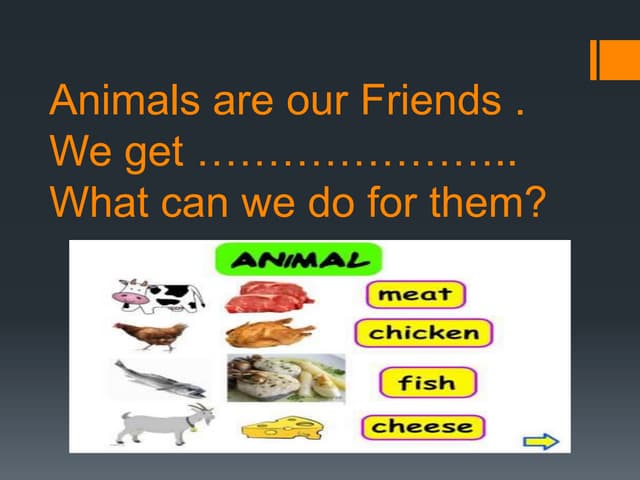 Animals & their habitat | PPTX