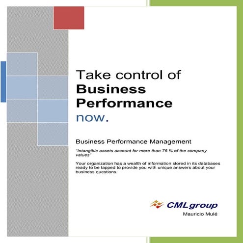 Take Control of Business Performance Now | PDF
