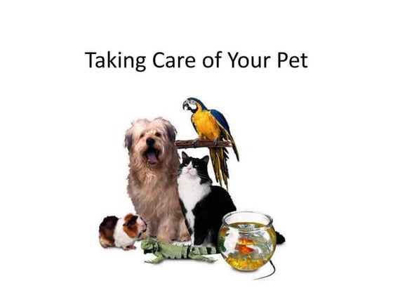 Taking care of your pet | PPTX