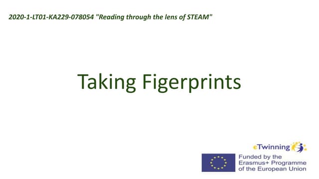 Principles of fingerprints | PPTX