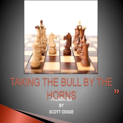 Taking the bull by the horns series 1 | PPTX