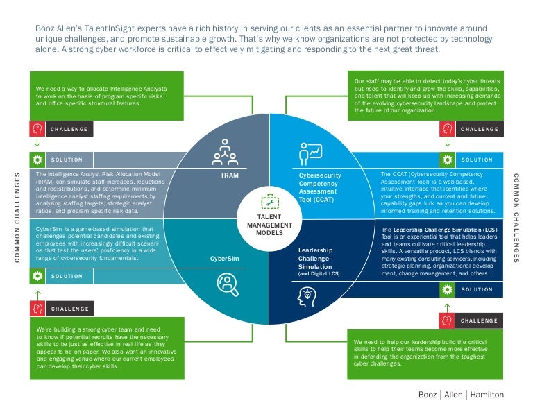 Talent InSight Infographic