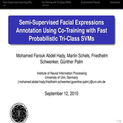 Semi-supervised Facial Expressions Annotation Using Co-Training with Fast Probabilistic Tri ...