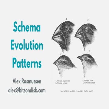 Schema Evolution Patterns - Texas Scalability Summit 2019 | PPT