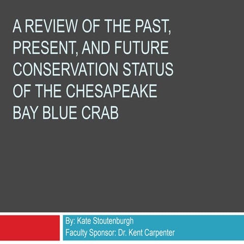 The Past, Present, and Future Conservation Status of the Chesapeake Bay ...