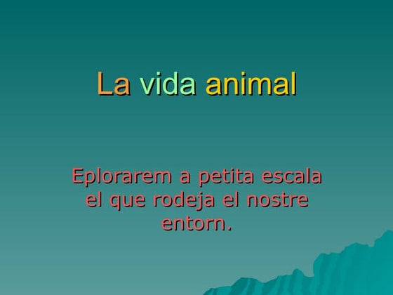 Animals | PPT