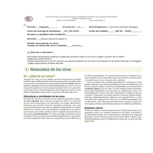 Taller 9 Los Virus Docx