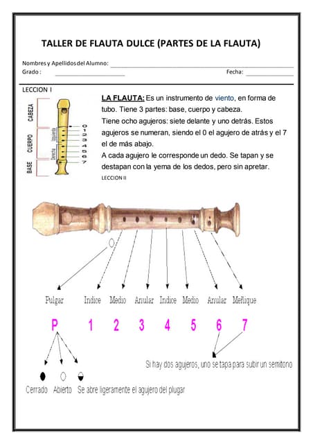Guia didactica flauta dulce | PPT
