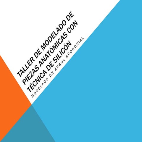 Taller de modelado de piezas anatómicas con técnica.pptx