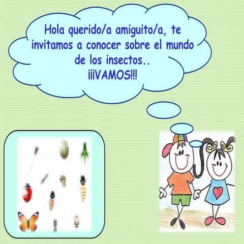Insectos | PPT