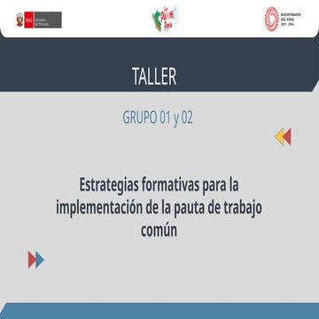 TALLER ESTRATEGIAS FORMATIVAS PARA LA IMPLEMENTACION DE LA PTC _LIMA ...