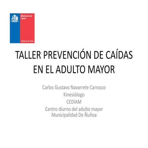 Taller Prevención De Caídas En El Adulto Mayor Pptx