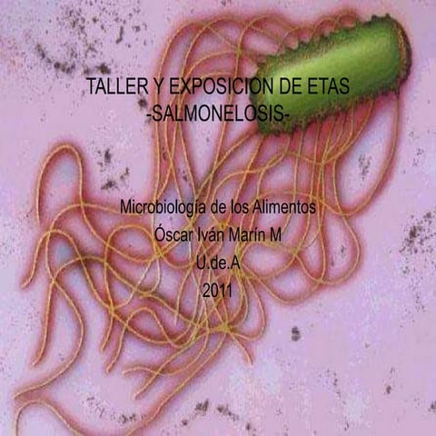 Taller y exposicion de etas | PPTX