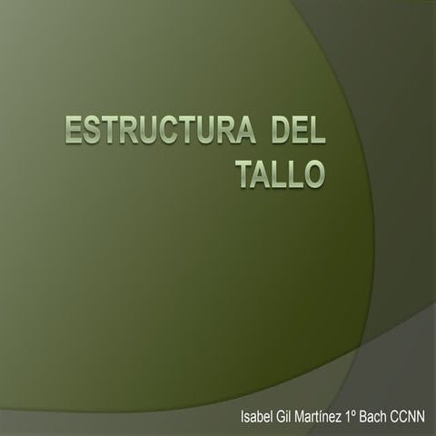 El tallo | PPTX