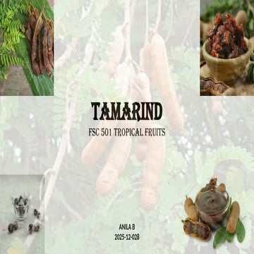 FOOT KAKDI / KACHRA / KACHRI (Cucumis melo / Cucumis Callosus ...