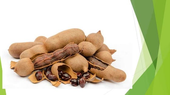 Tamarind varieties and processing | PPT