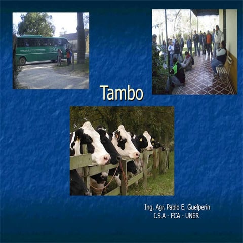 Tambo | PPT