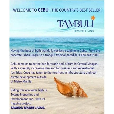 TAMBULI CONDOMINIUM BEACH LOT | PPT