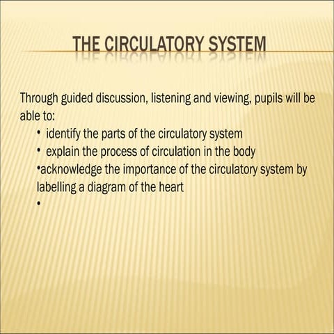 The circulatory system | PPT