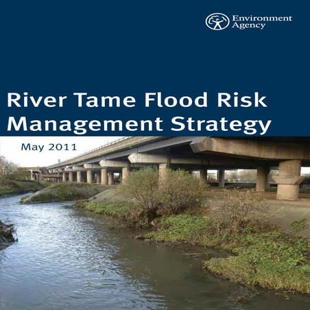 Tame flood risk_management | PDF