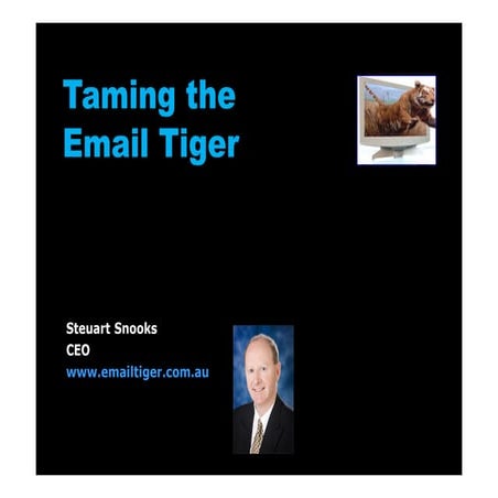 Taming the Email Tiger workshop slideshow v1.5 | PDF