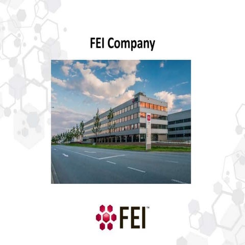 FEI Company Brno | PPTX