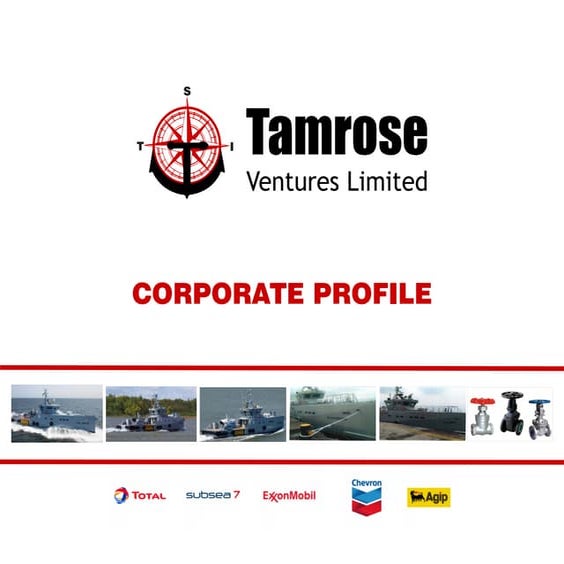 Tamrose venture ltd | PDF