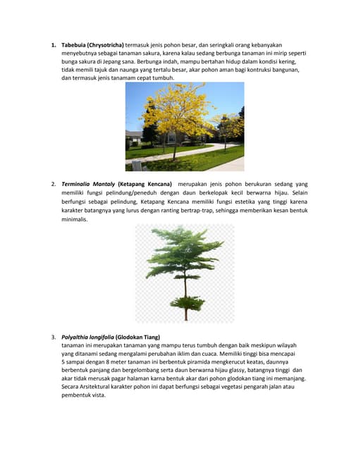 Dalam slide ini dipaparkan tentang Struktur Perkembangan Tumbuhan ...