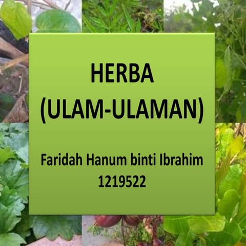 Tanaman herba | PPTX