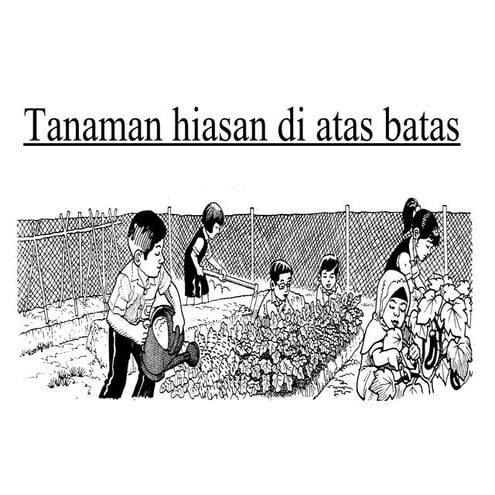 Tanaman hiasan di atas batas | DOC
