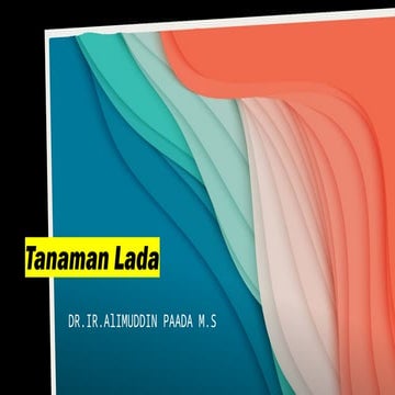 Tanaman Lada dan Penjelasan Lainnya.pptx
