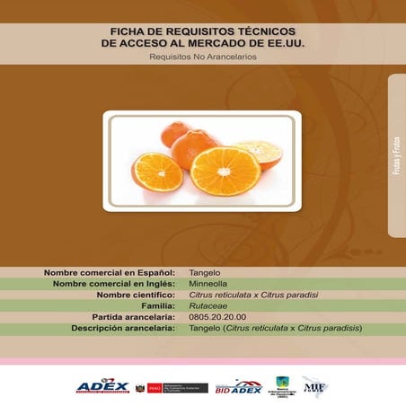 BID - Tangelo | PDF