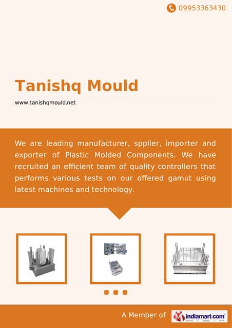 The China Mold Maker for Plastic Projects | PPT