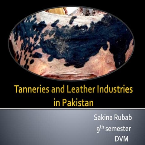 Tanneries and leather industries in pakistan | PPTX