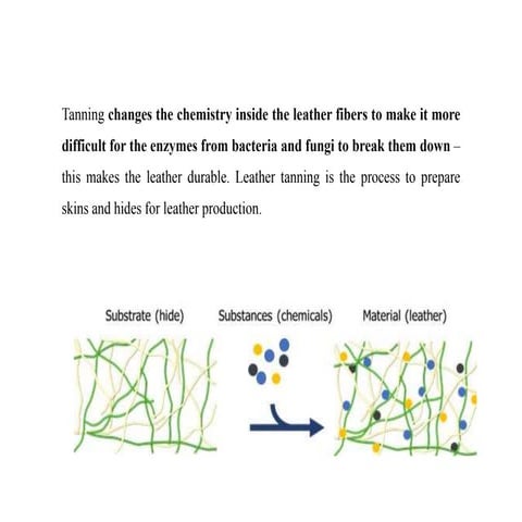 Tannery industrial process, Waste generation, and Waste management.pptx