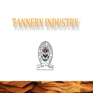 Tannery industry (BE C) | PPTX